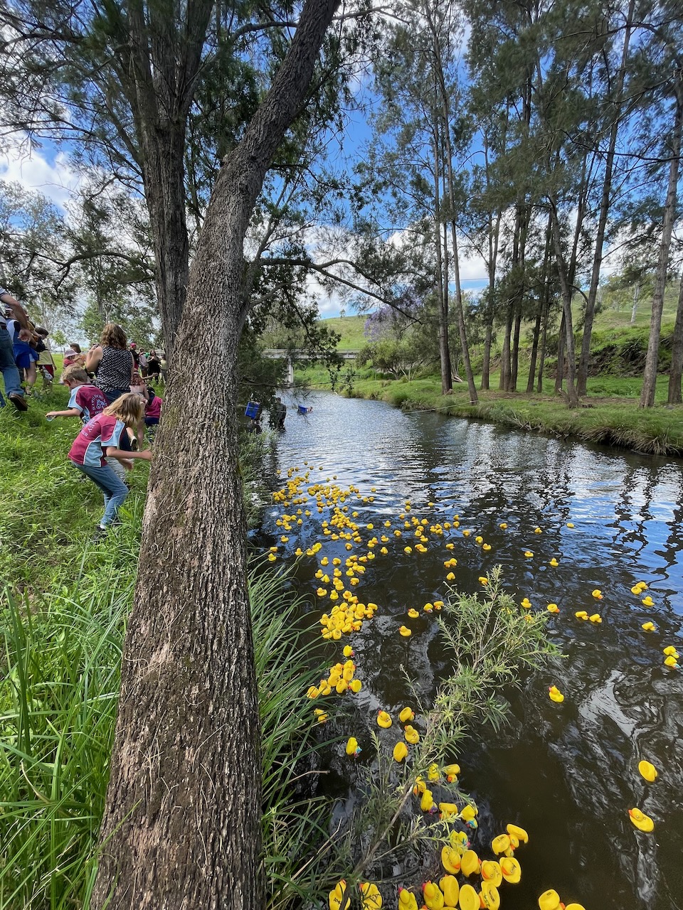 Darlington State School P&C Association