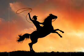 Bundaberg & District Extreme Cowboy Racing Inc.