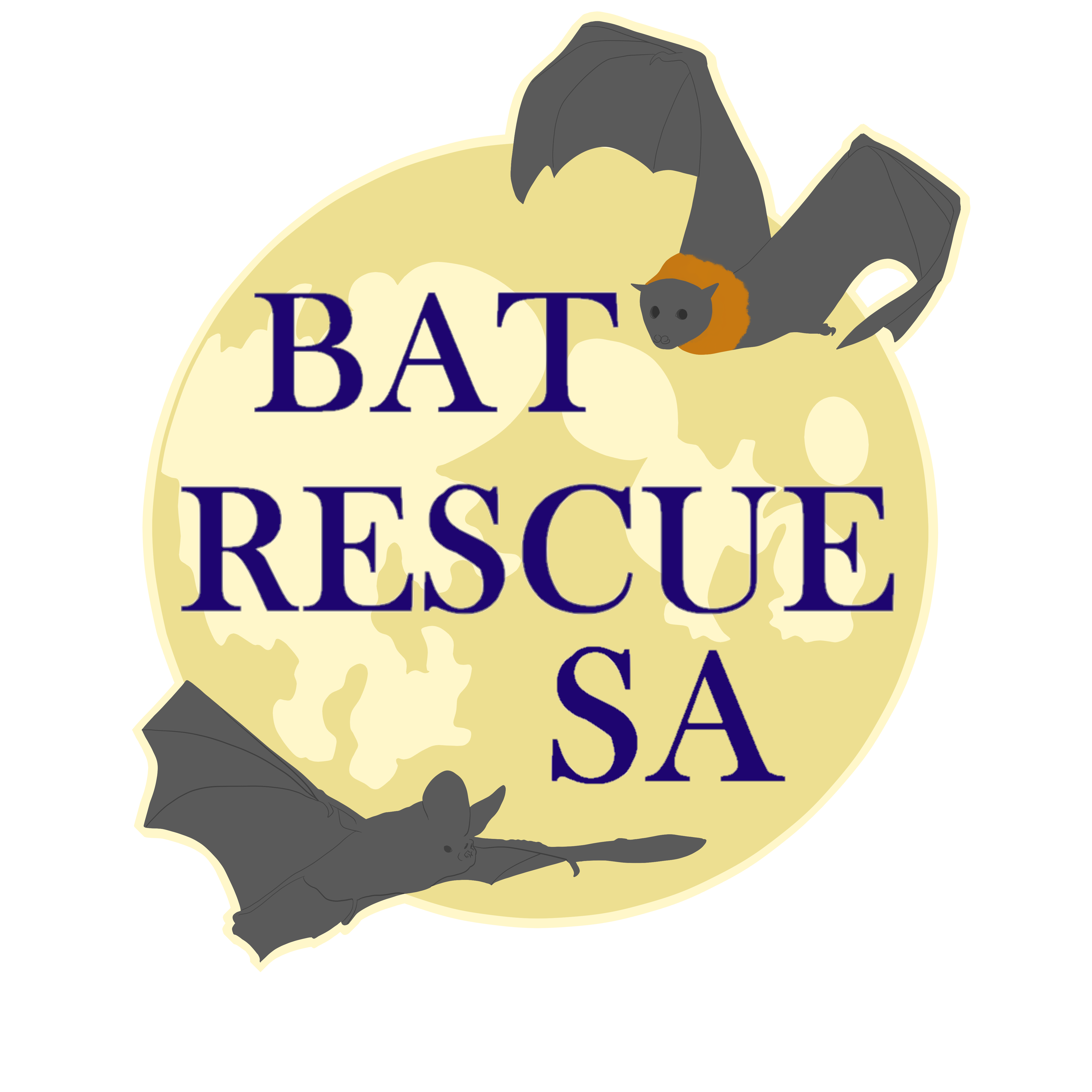Bat Rescue South Australia Inc
