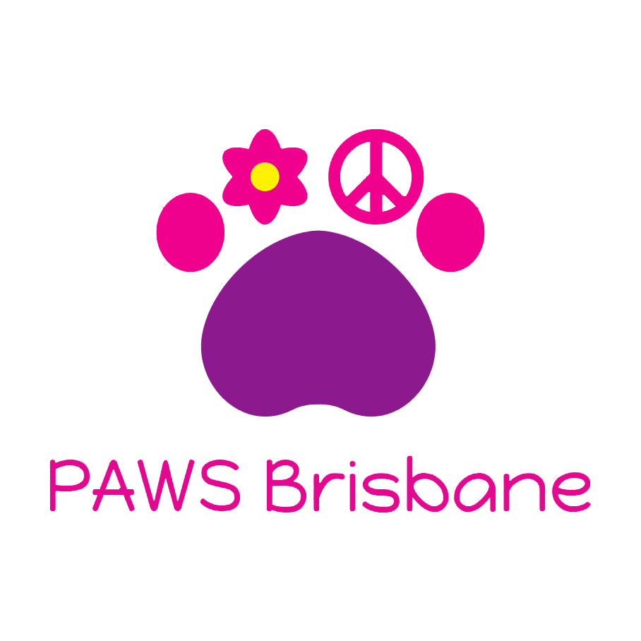 Paws Brisbane