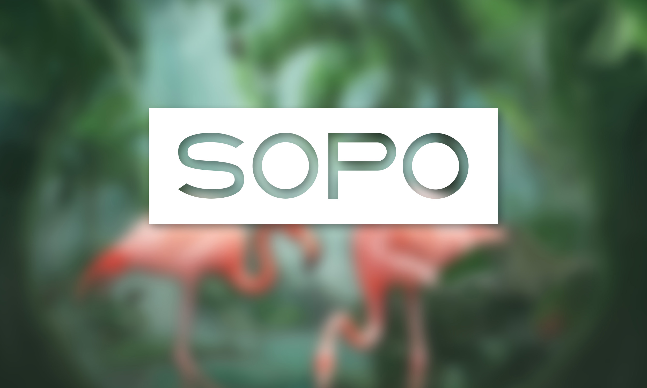 SOPO