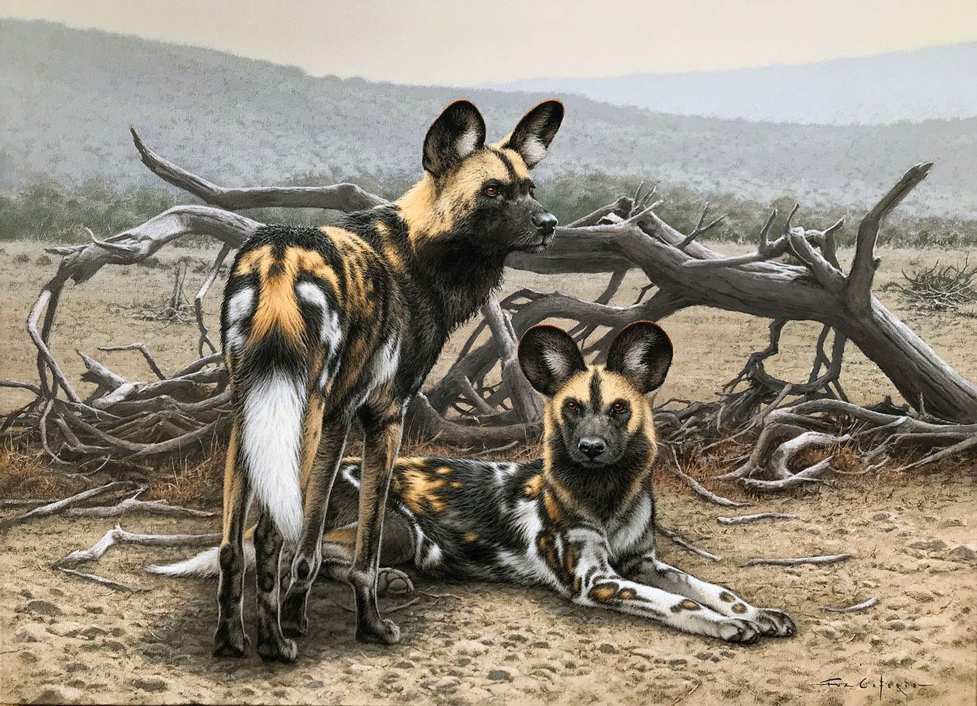 RaffleTix | Raffles by Painted Dog Conservation Incorporated