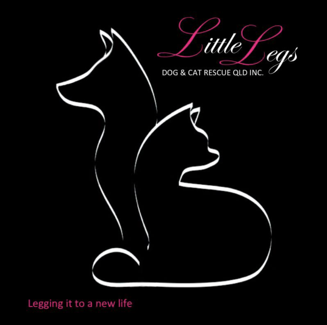 Little Legs Dog & Cat Rescue Little Legs Dog & Cat Rescue