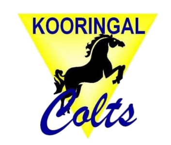 Pink Stumps Raffle - LADIES DAY