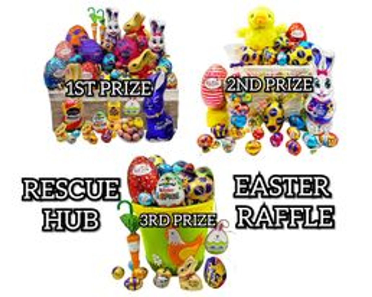 RaffleTix | EASTER FUNDRAISER RAFFLE