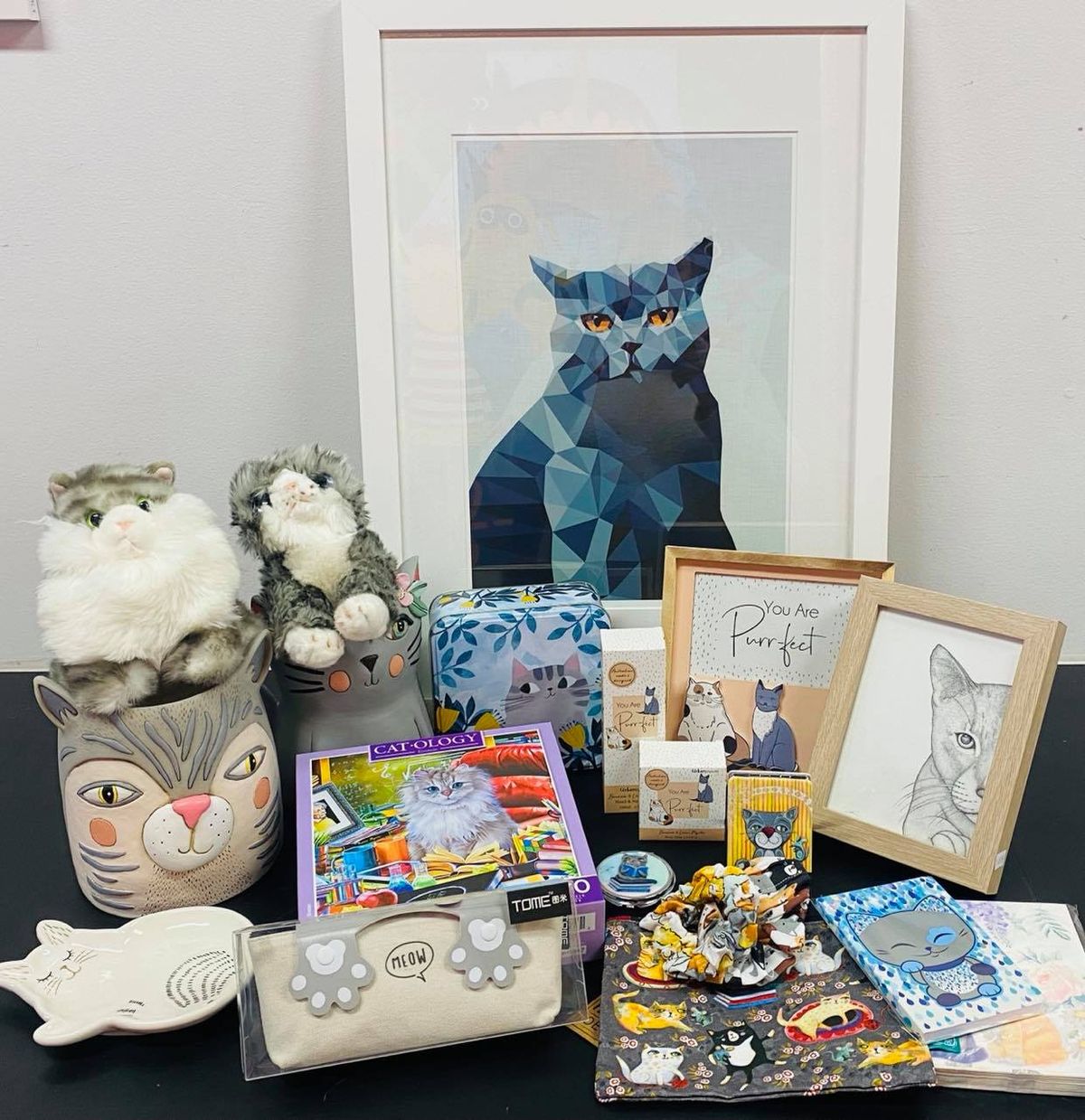 Grey Cat Appreciation Raffle