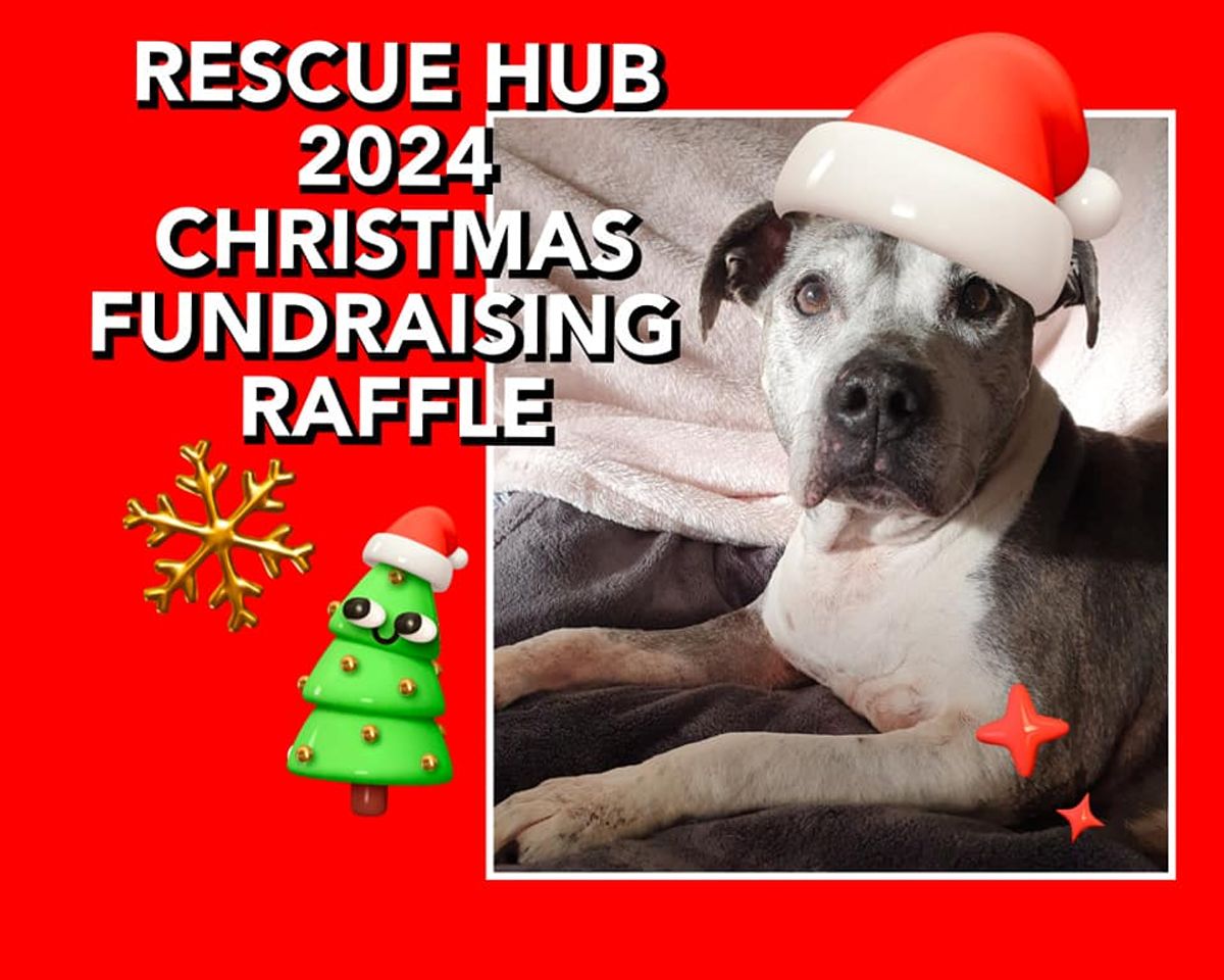 RESCUE HUB CHRISTMAS 2023 FUNDRAISING RAFFLE