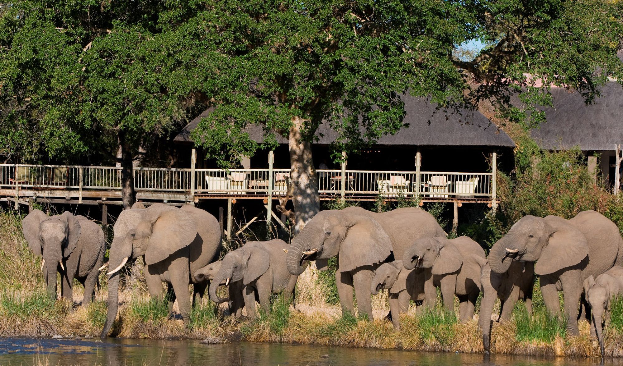 The Classic Safari Company Luxury Safari Raffle