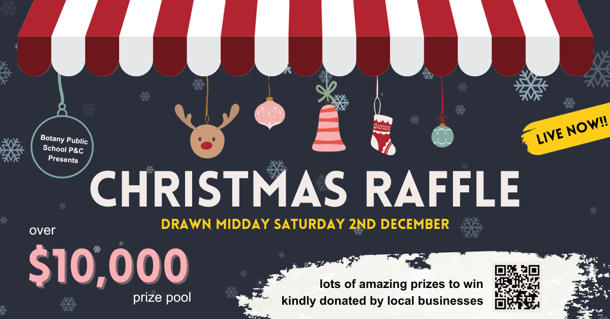 RaffleTix | Christmas Raffle 2023
