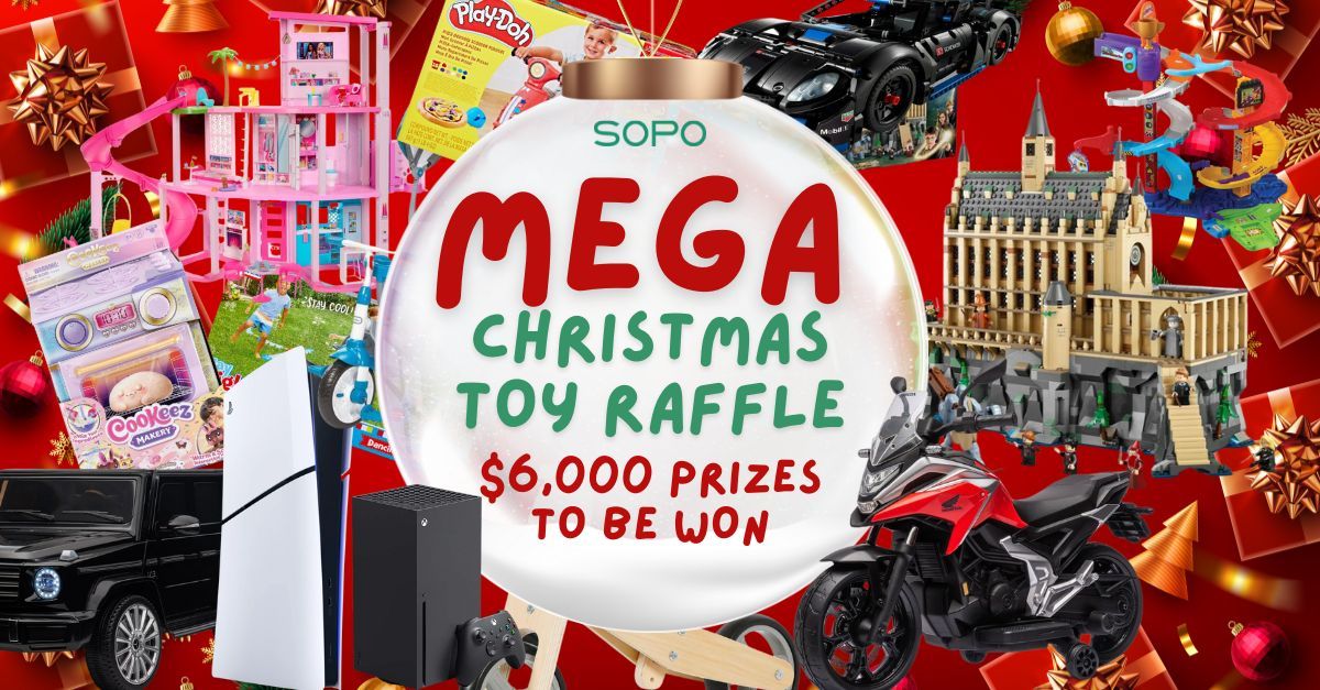 Mega Christmas Toy Raffle 2024