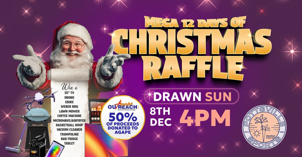 MEGA 12 DAYS OF CHRISTMAS RAFFLE