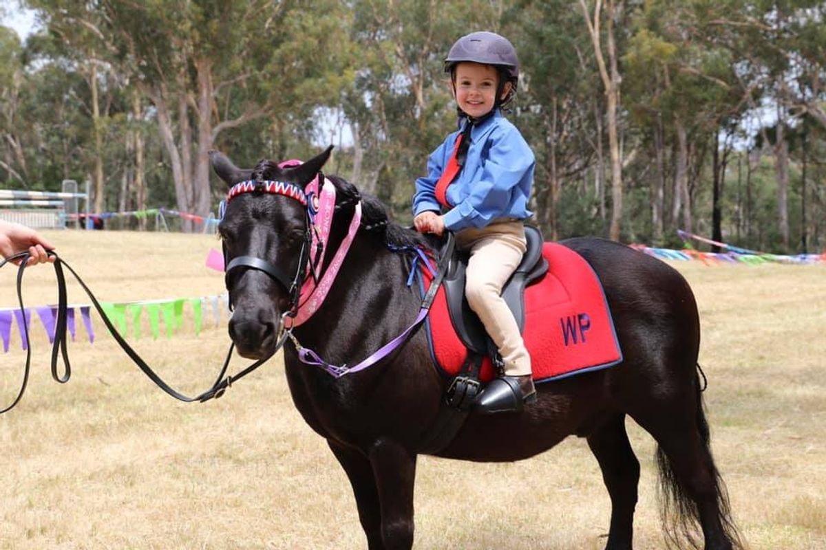 RaffleTix | WOODLANDS PARK PONY CLUB 40th Anniversary Raffle