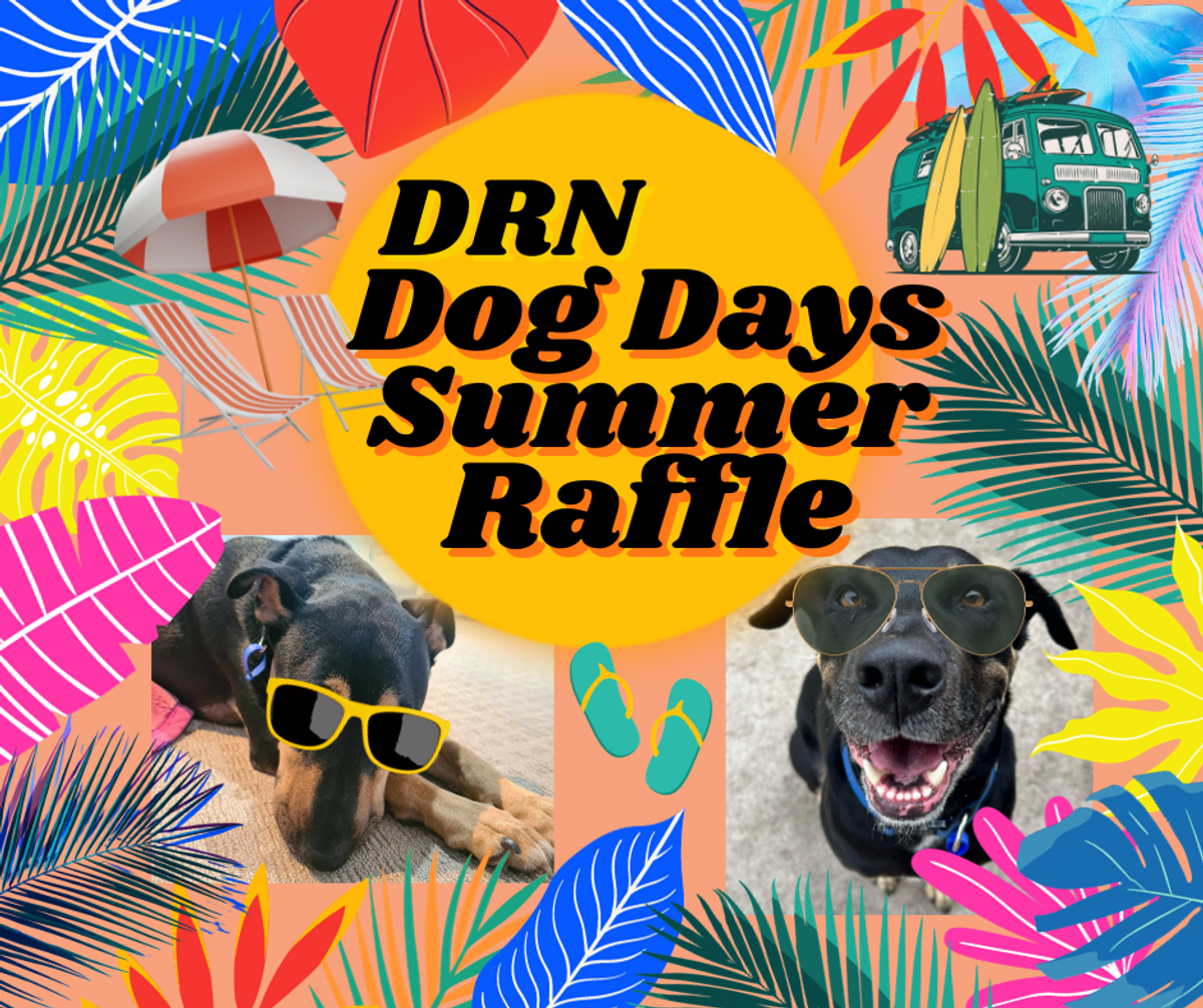 DRN Dog Days of Summer Raffle