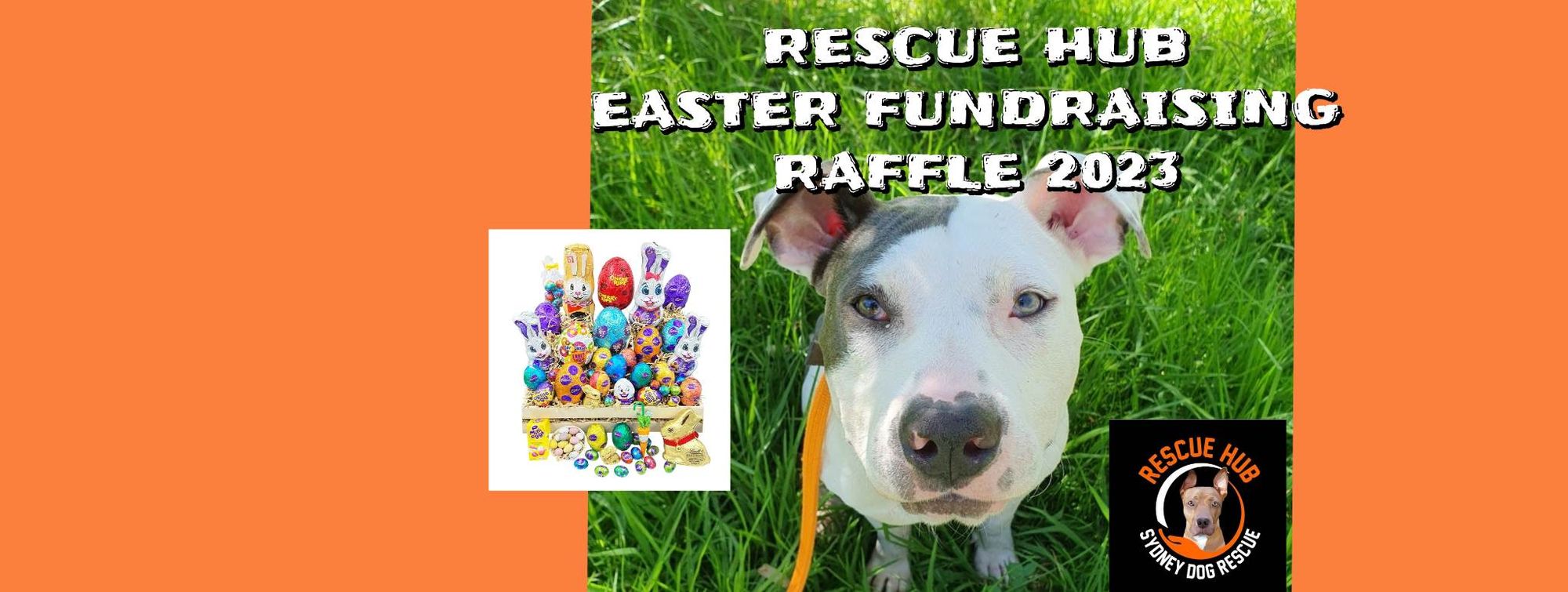 RESCUE HUB EASTER HAMPER RAFFLE