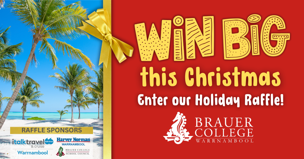 Brauer College Holiday Raffle 2025