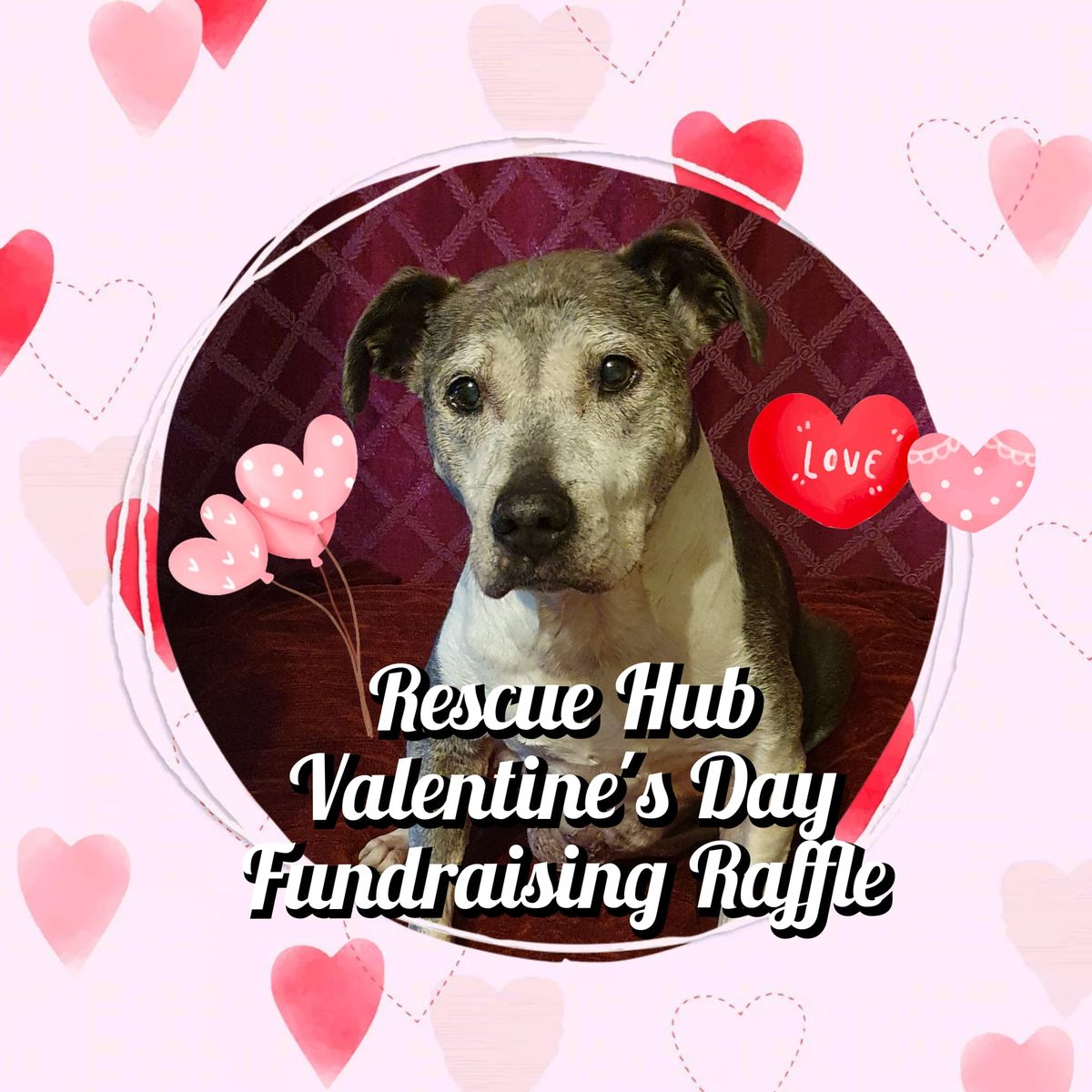 RESCUE HUB VALENTINE'S DAY RAFFLE
