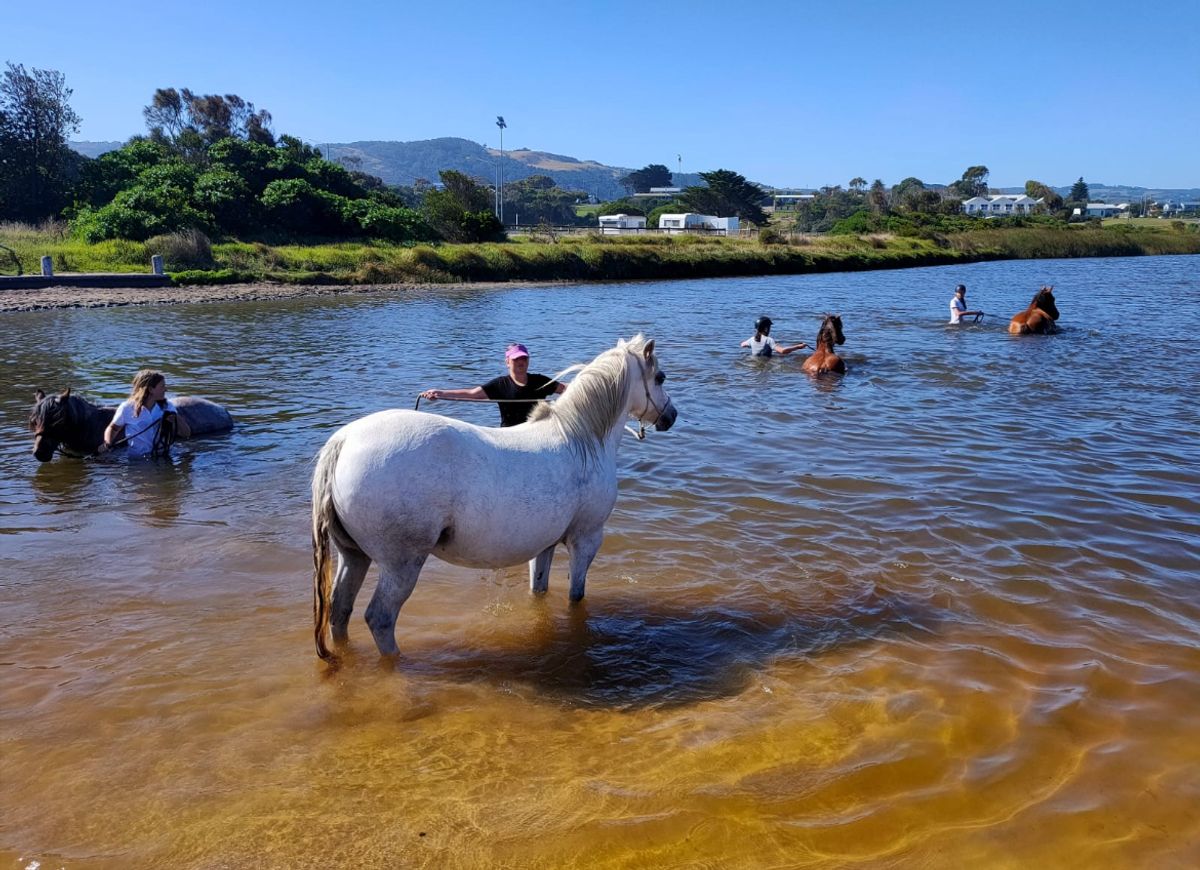 Apollo Bay Pony Club Raffle