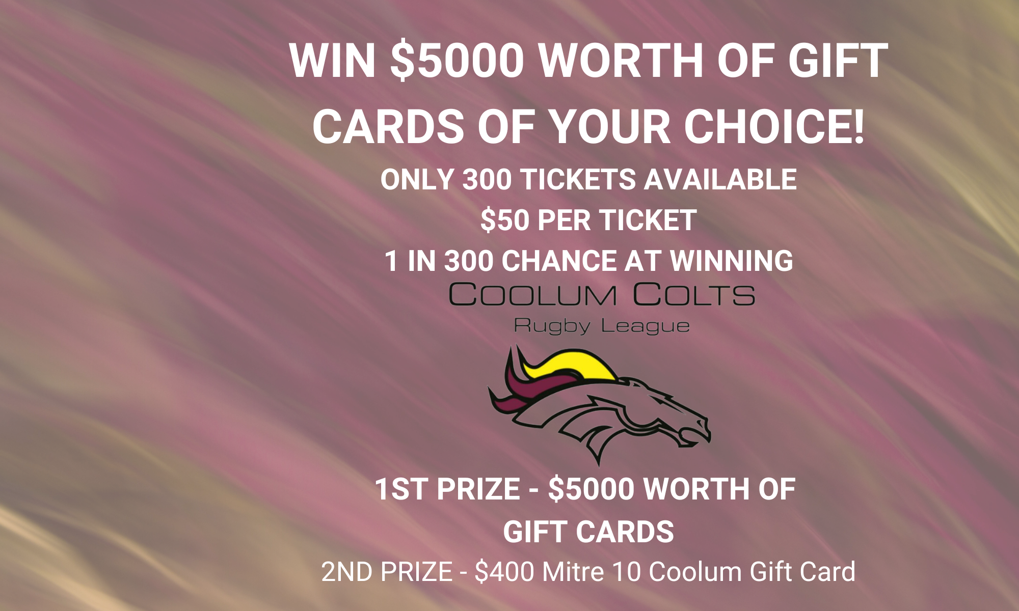 2024 Coolum Colts 300 Club