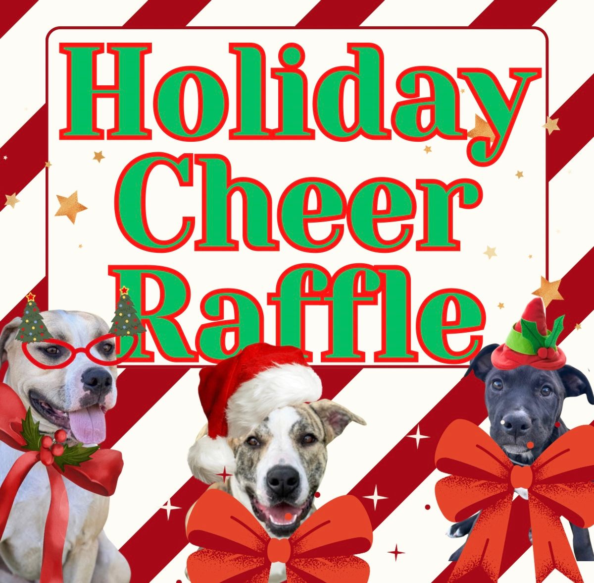 DFL'S HOLIDAY CHEER RAFFLE!