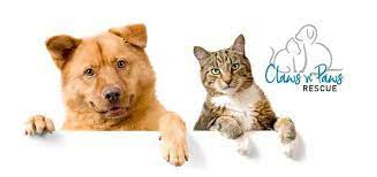 Claws n Paws Fundraising Raffle