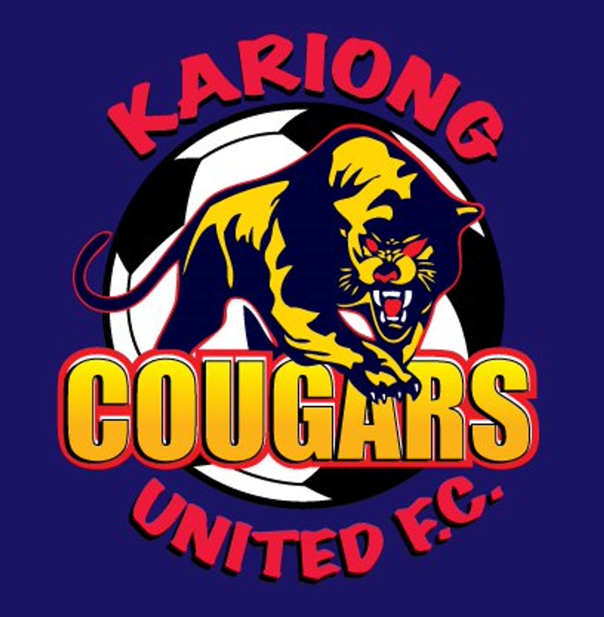 Kariong Cougars Football Club 2023 Raffle