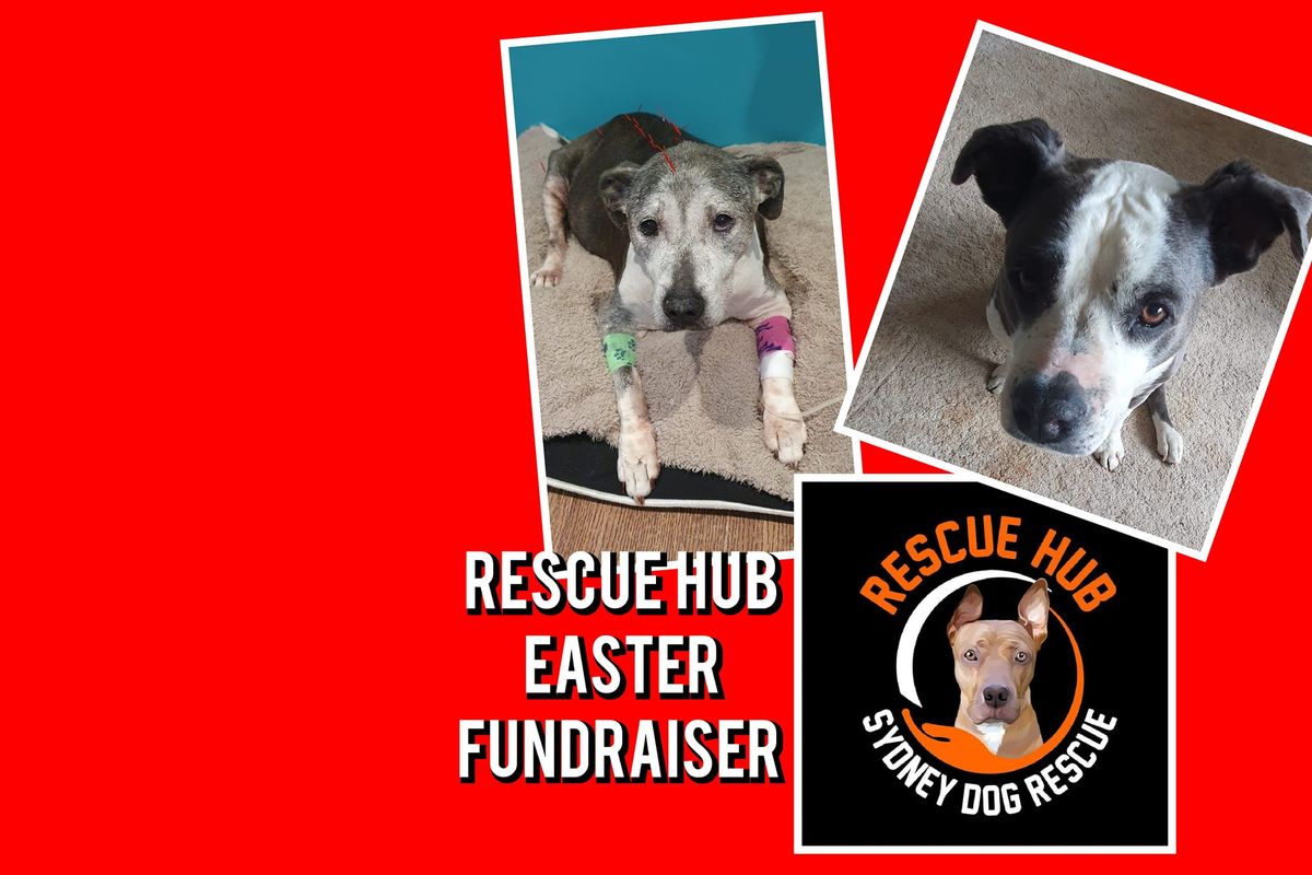 EASTER HAMPER FUNDRAISING RAFFLE 2024