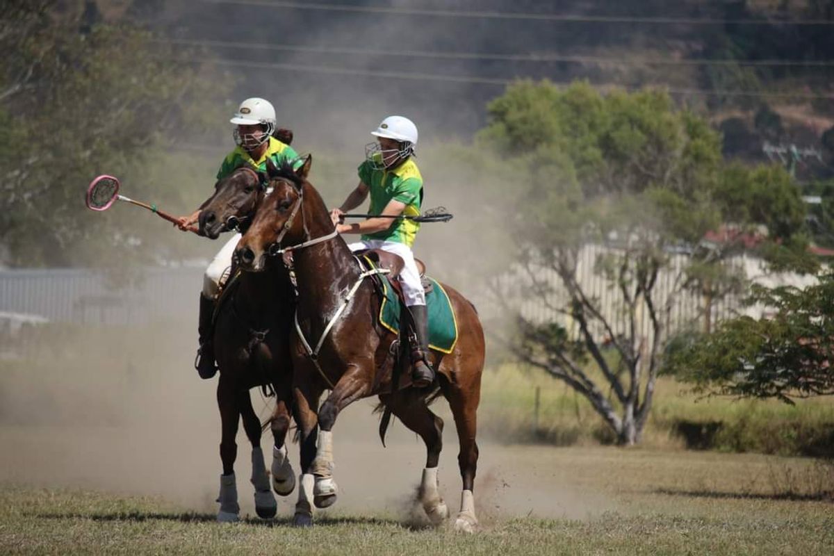 Pyramid Polocrosse Club Christmas Mega Raffle