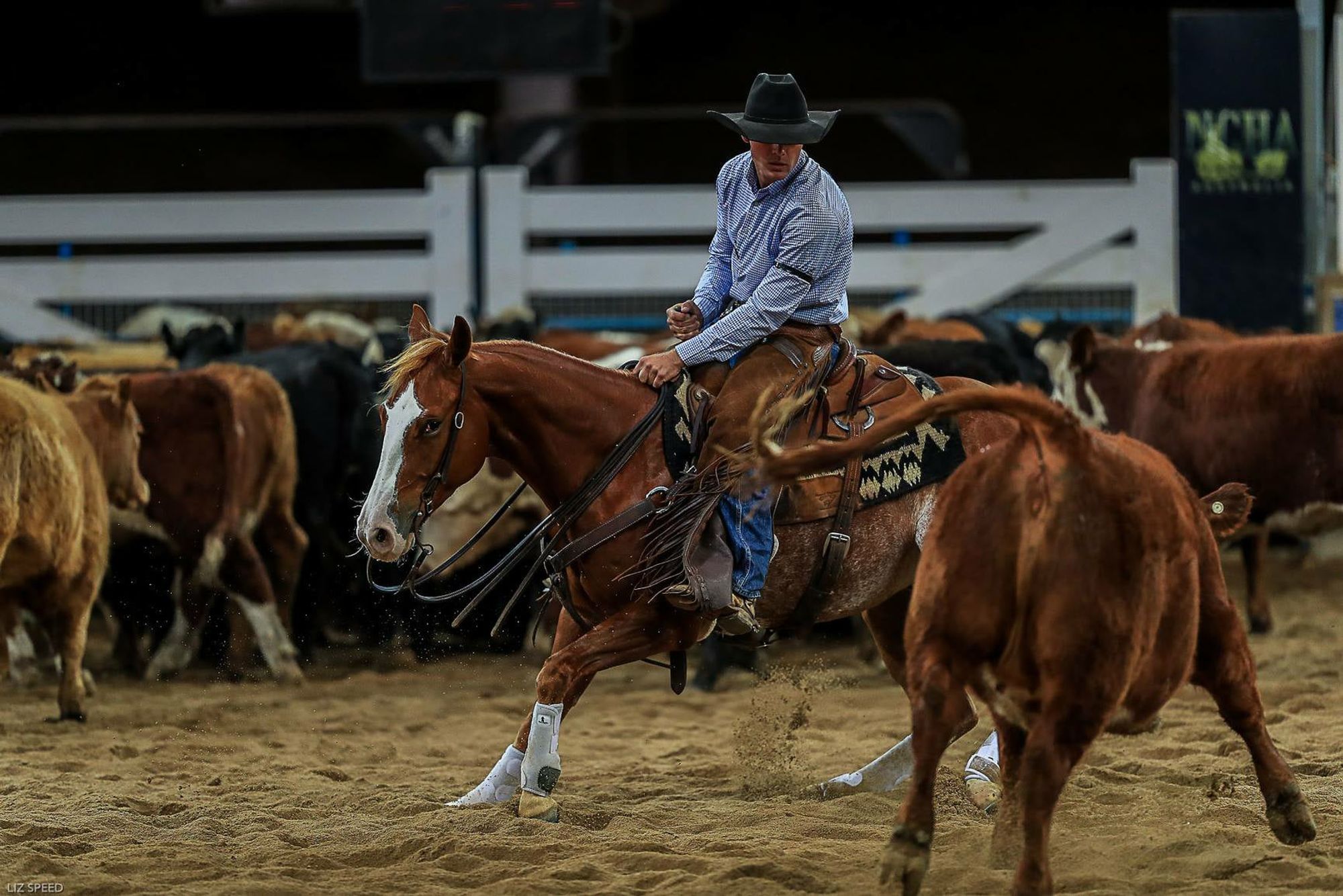 Ranch Sorting Tamworth Raffle