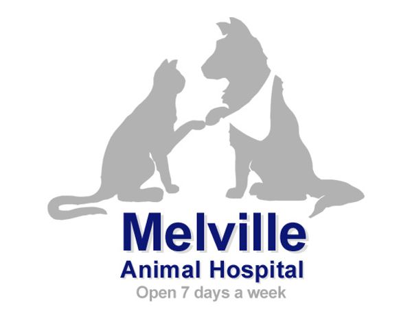 WA Wildlife (Native ARC Inc) Raffle