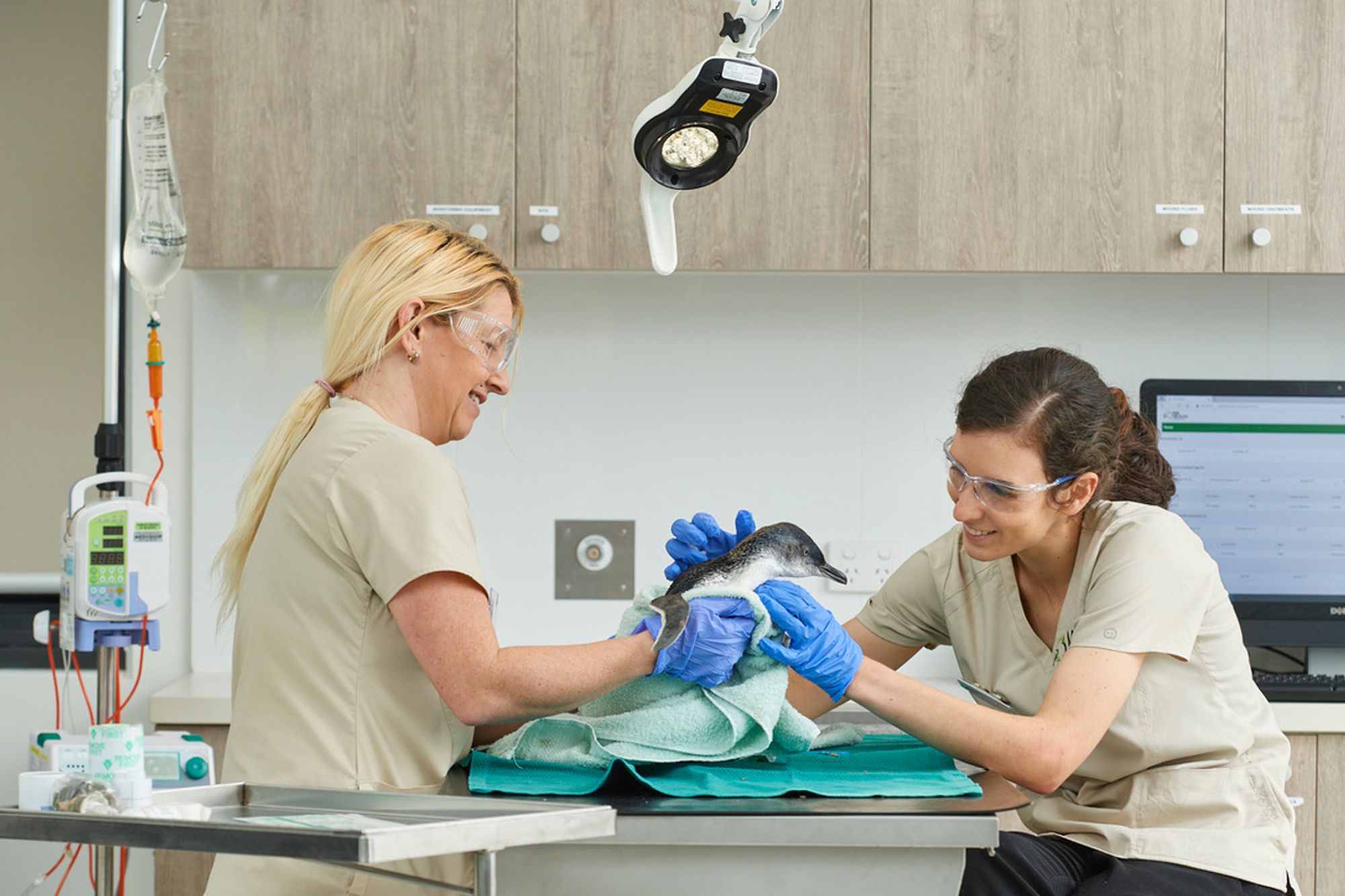 WA Wildlife (Native ARC Inc) Raffle