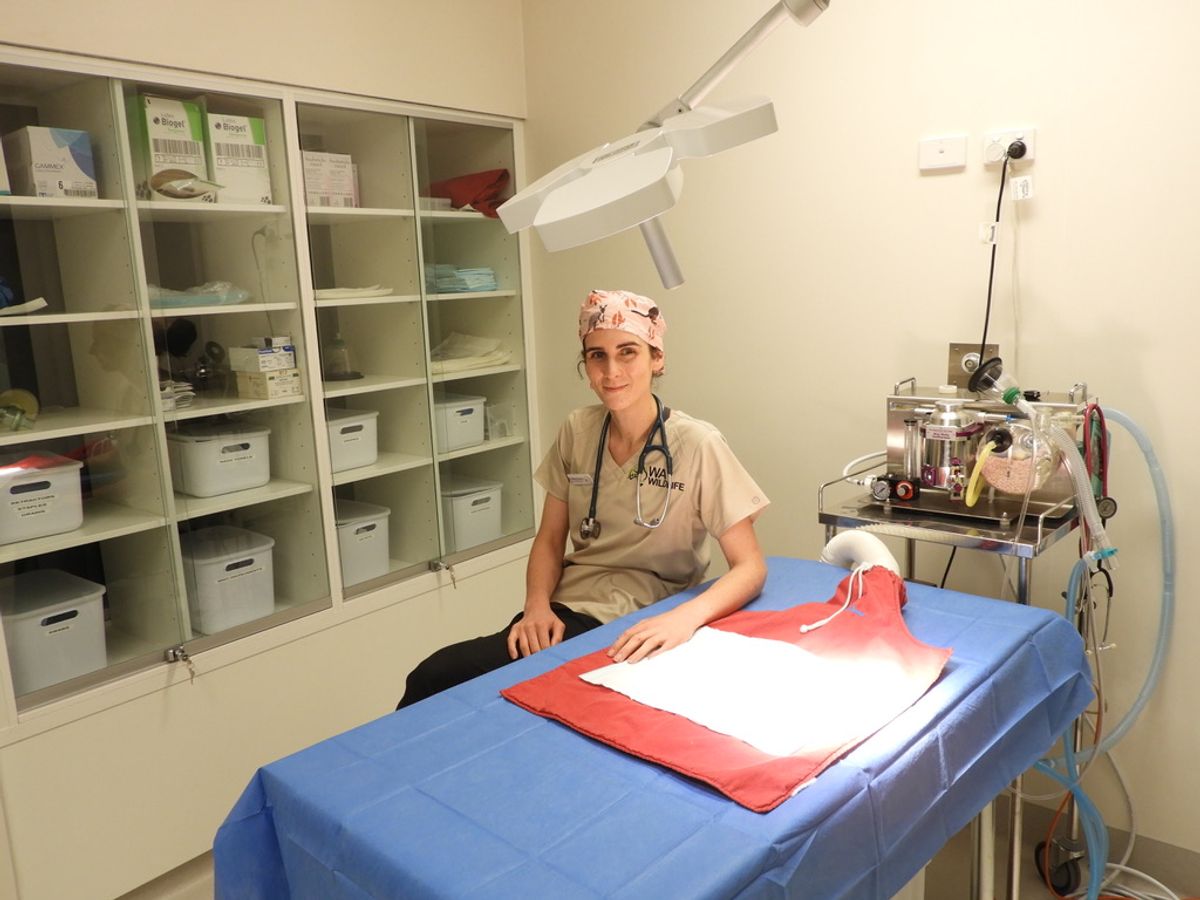 WA Wildlife (Native ARC Inc) Raffle