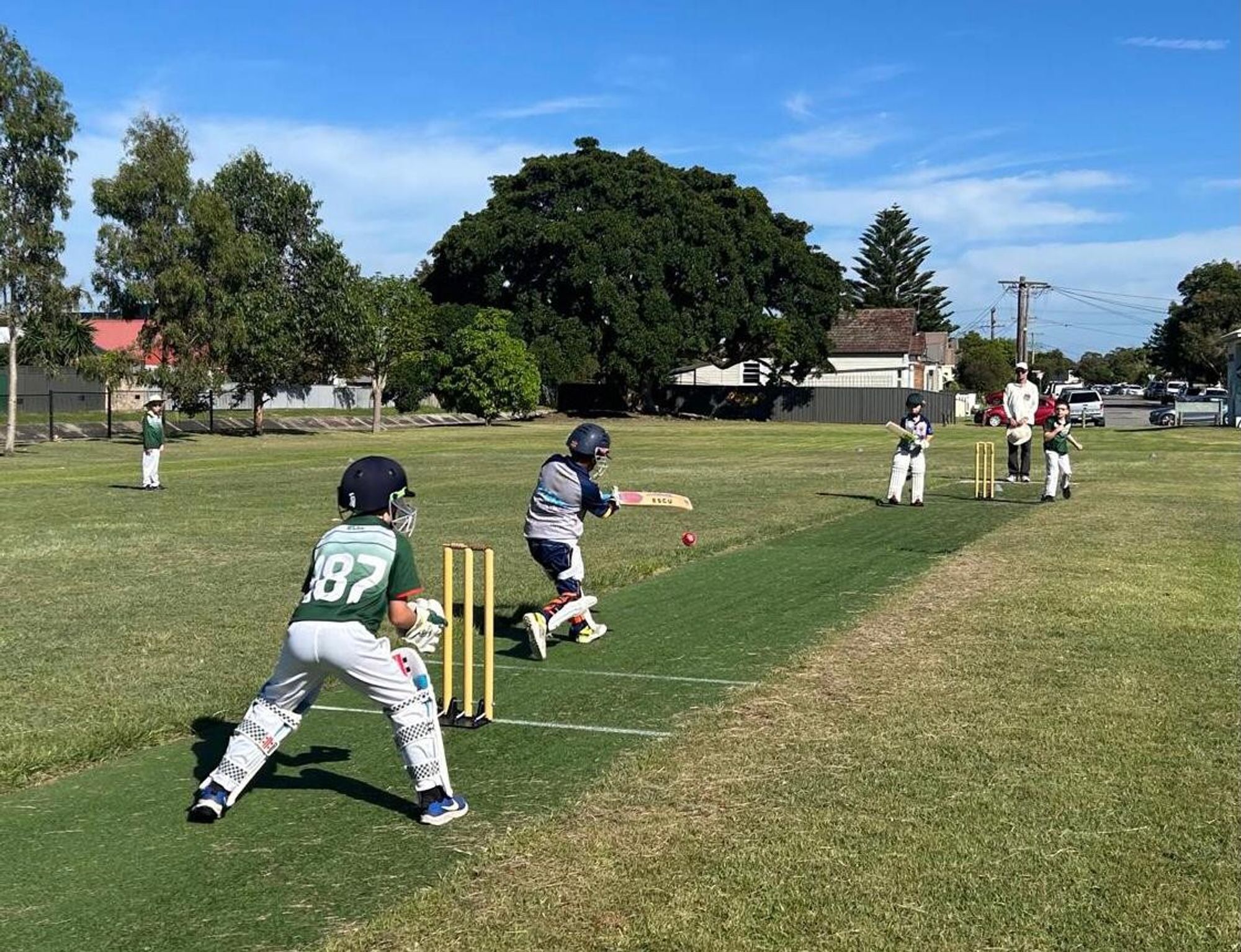 NJCA Kookaburra Raffle