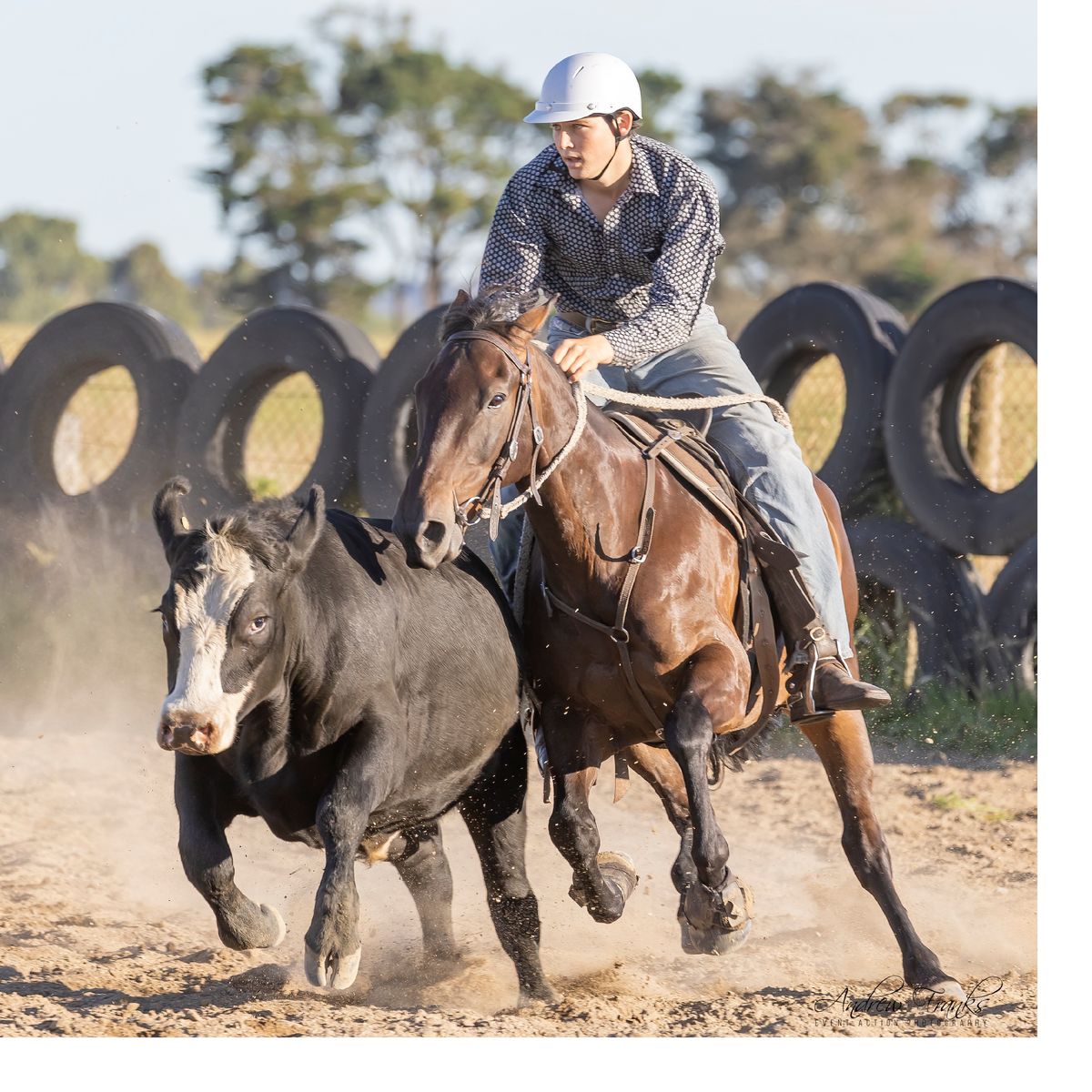 DELEGATE RODEO CAMPDRAFT INC Mega Stallion Service Fee Raffle