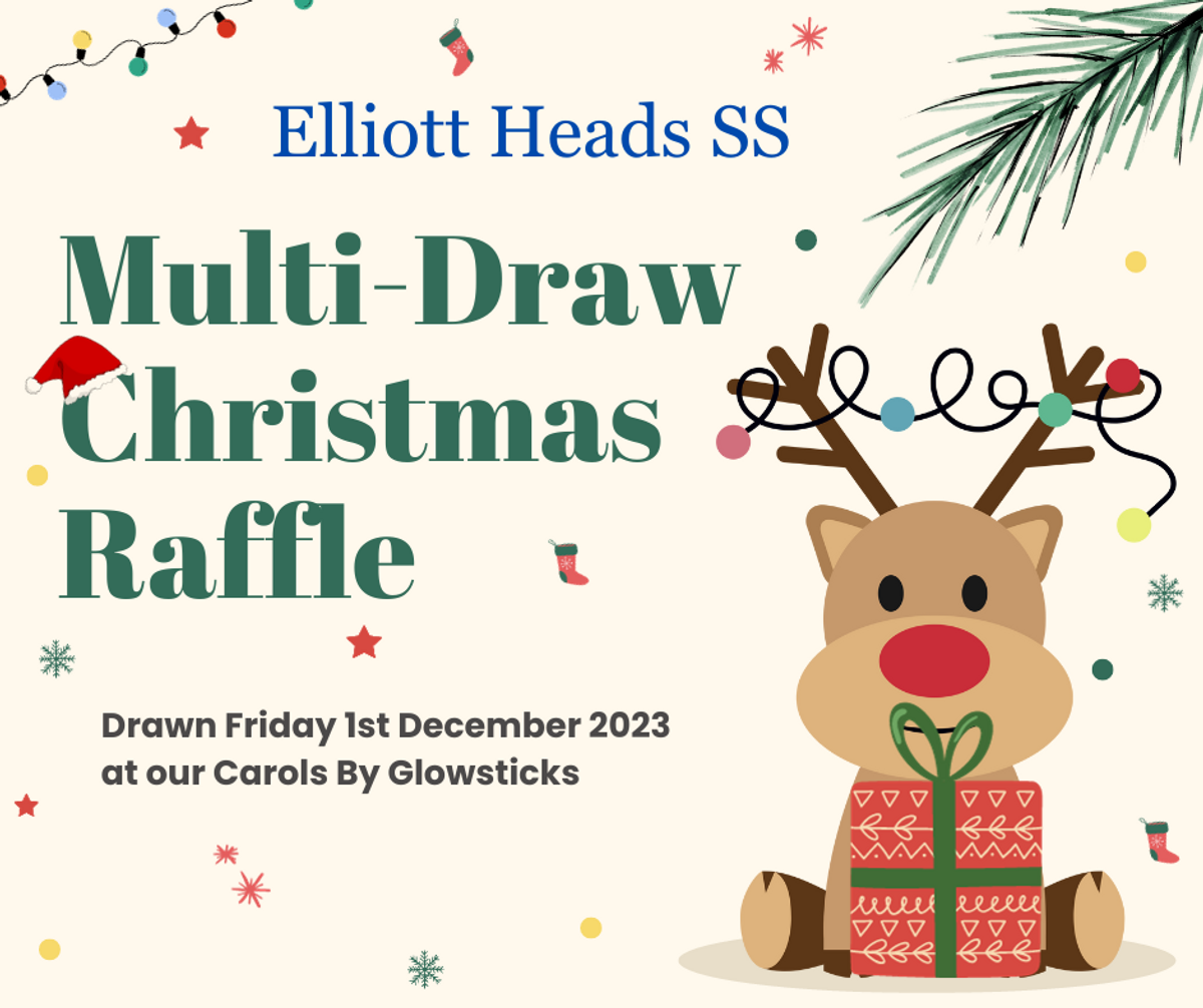 Christmas Multi-Draw Raffle