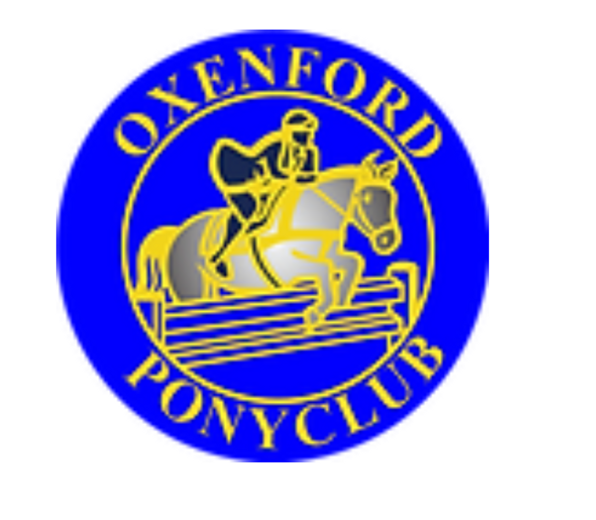 Pink Ribbon Dressage